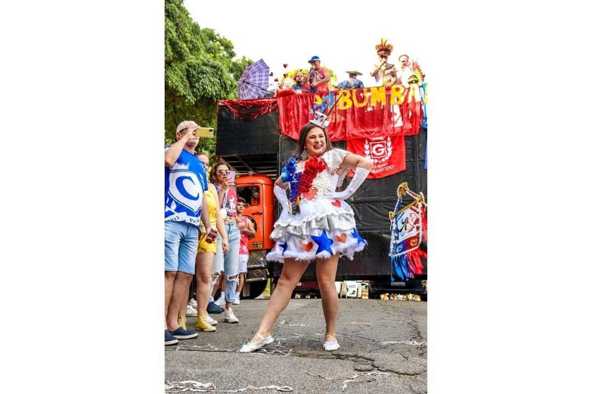 Boi-Bumbá: Do Amazonas para o Carnaval de São Paulo - Portal ESGS